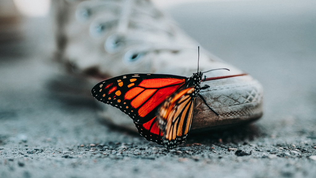 Latest update from our CEO